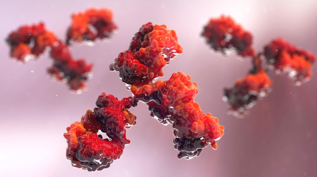 Proceso Downstream | Vigenius Biotech